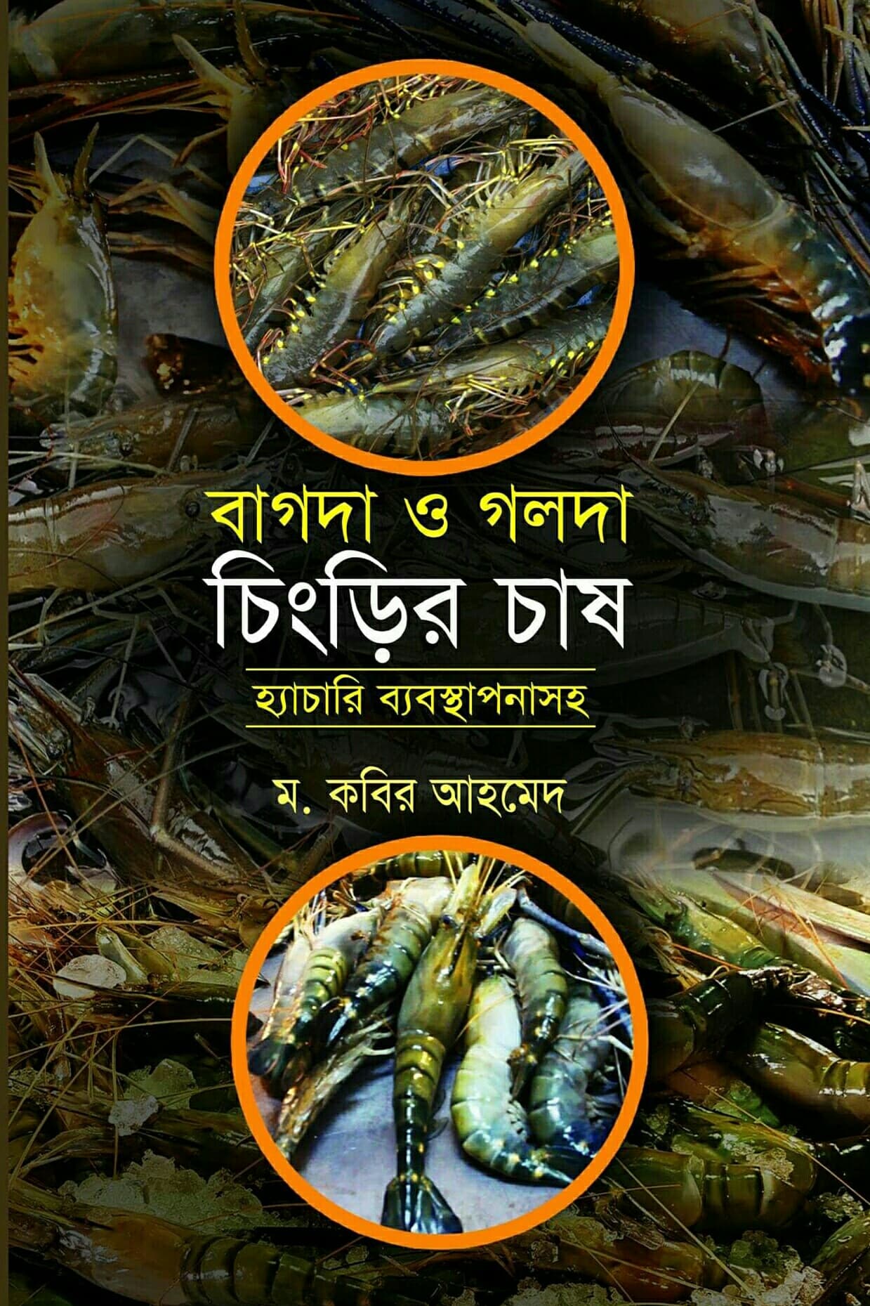 বাগদা ও গলদা চিংড়ি চাষ - ম. কবির আহমেদ | Bagda O Golda Chingrir Chash ...