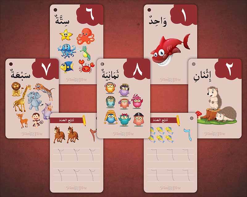 TownStore Early learning Arabic Activity Flash Cards | Wafilife