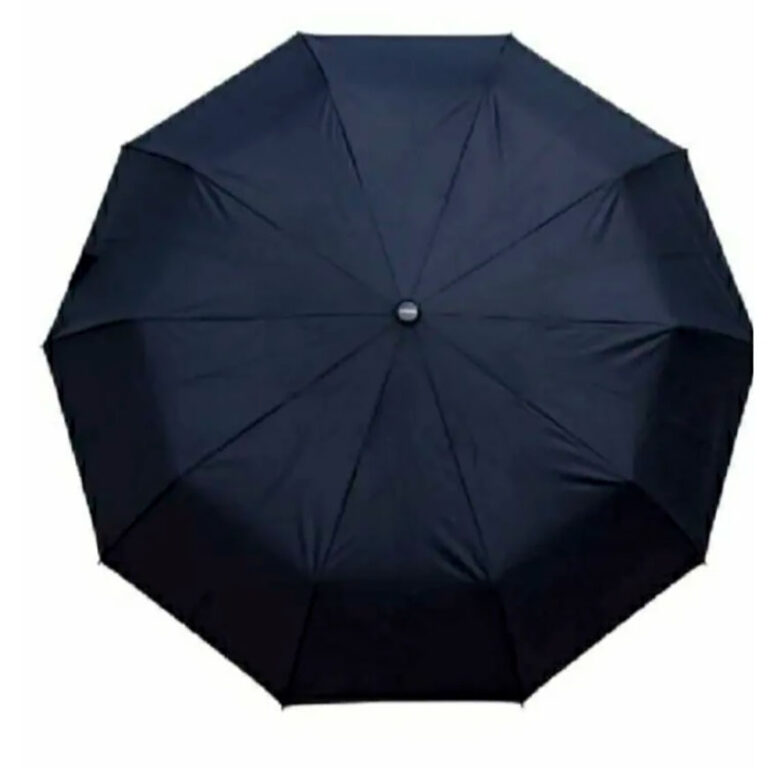 Sankars Auto Open 10 Shik Umbrella (any color) | Wafilife