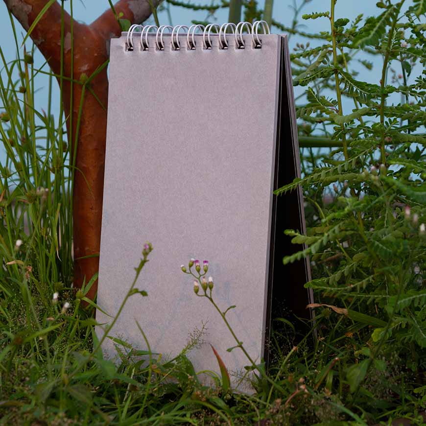 Silver Coated Paper Black Spiral & Studio Series Notebook 2-Pack | Wafilife