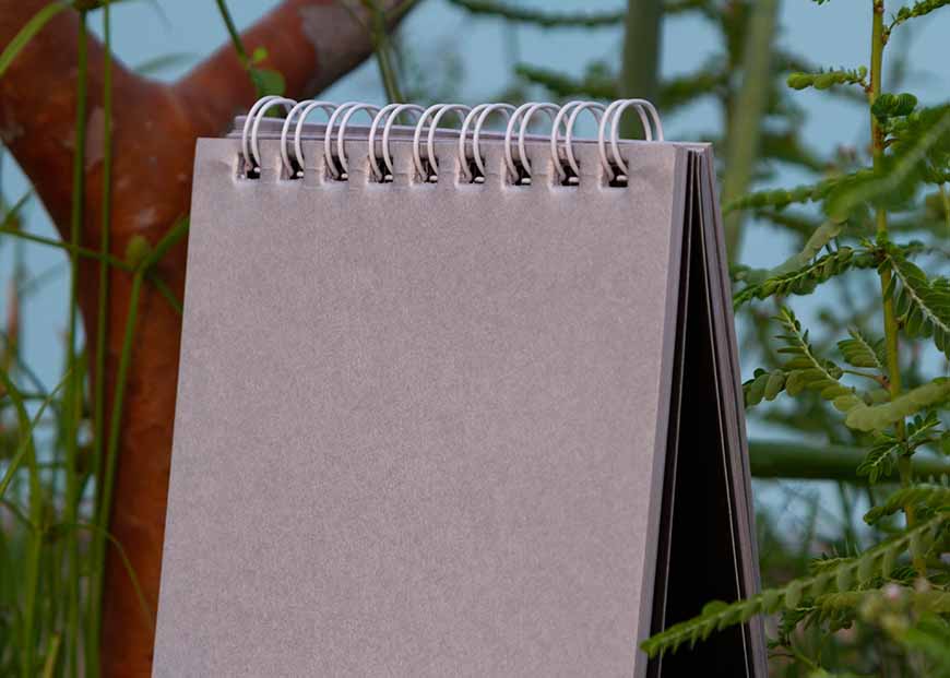 Silver Coated Paper Black Spiral & Studio Series Notebook 2-Pack | Wafilife