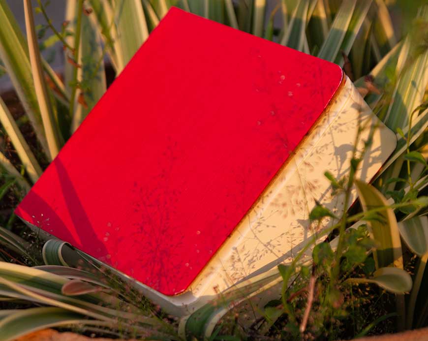365 Days Red Cover Notebook | Wafilife