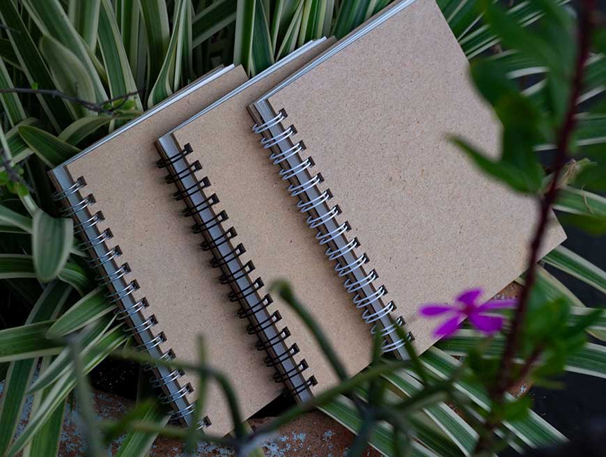 Artist Notebook 3-Pack | Wafilife