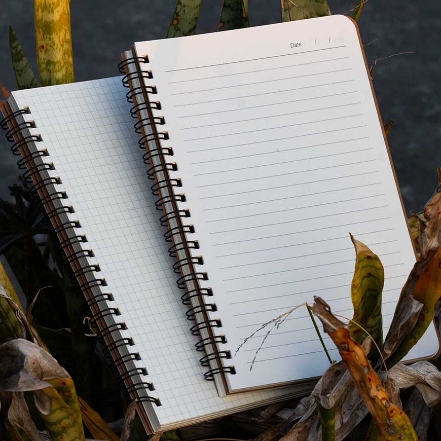 Designer Series Graph/Grid & Daily Journal Notebook 2-Pack | Wafilife