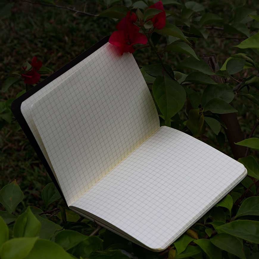 Everyday Graphic & Portrait Dot-Grid, Graph-Grid & Plain(Portrait ...